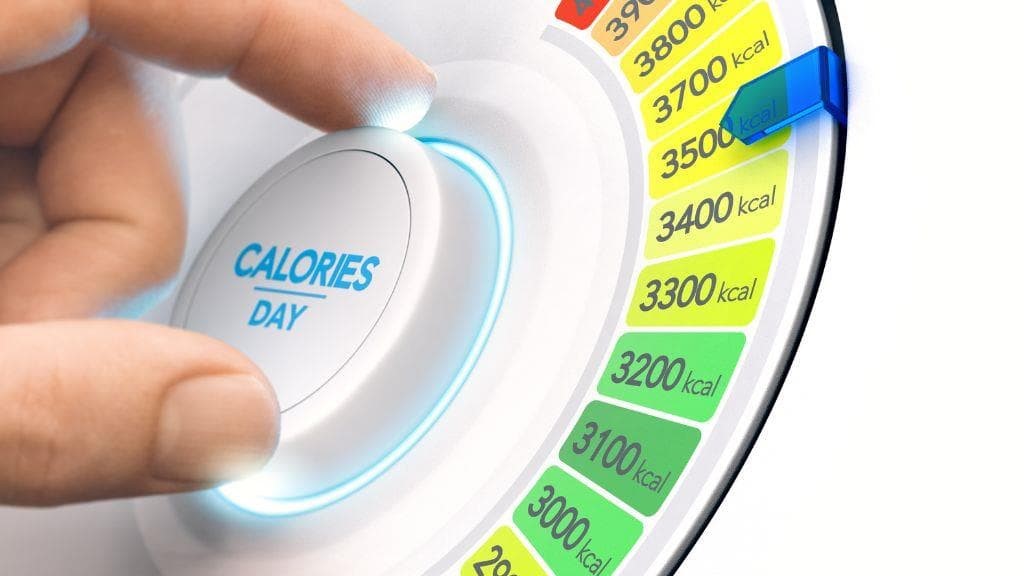 Valor calórico de los alimentos que consumimos: Una guía completa ...